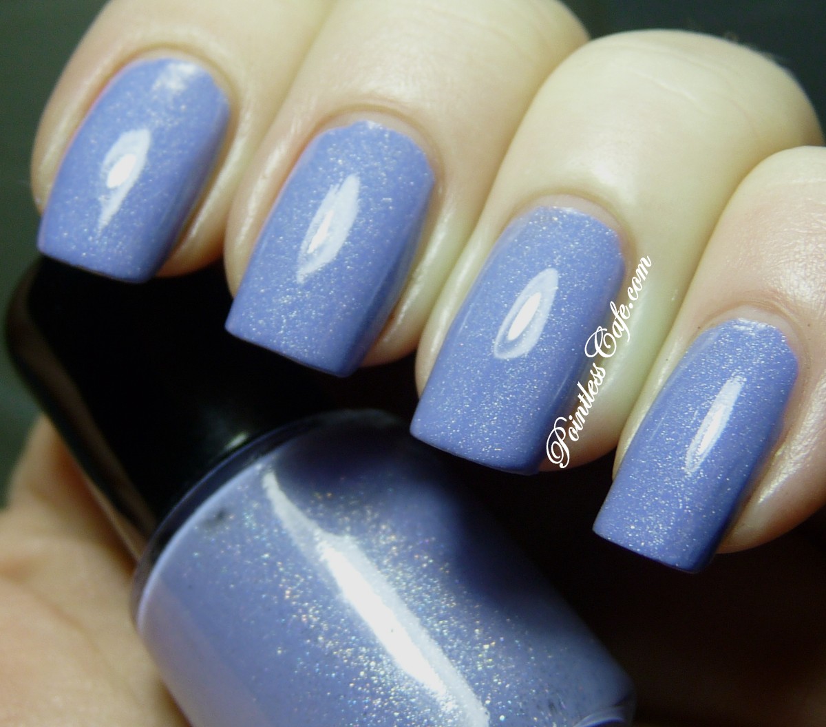 Above the Curve - Caty Perry-winkle | Pointless Cafe