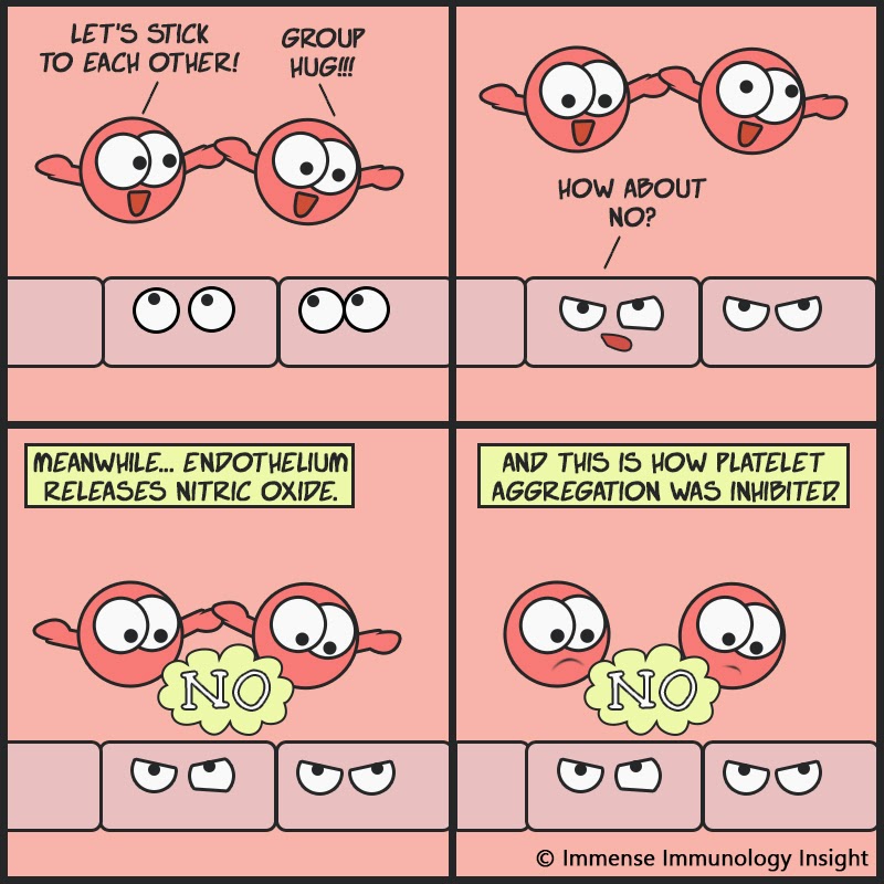 Immense Immunology Insight