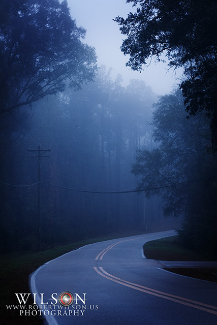 Robert Wilson Photography - Blog