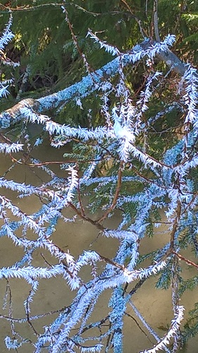 Tahaton lueskelija: Anu Rissanen ja Seppo Timonen: Hiekanpölläkkää