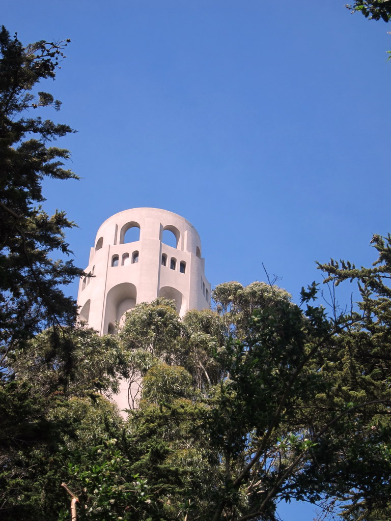 Jane Says: Walking to Coit Tower and the Parrots of Telegraph Hill