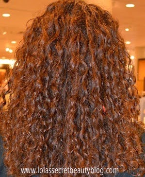 lola's secret beauty blog: eSalon Custom At-Home Hair Color Review | My ...