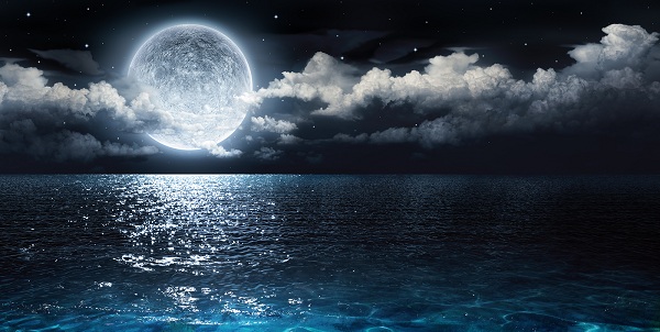 FÍSICA MÁXIMA: 7° ANO: VÍDEO SOBRE A ÓRBITA DA LUA EM TORNO DA TERRA