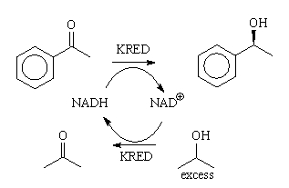 Industrial Biocatalysis