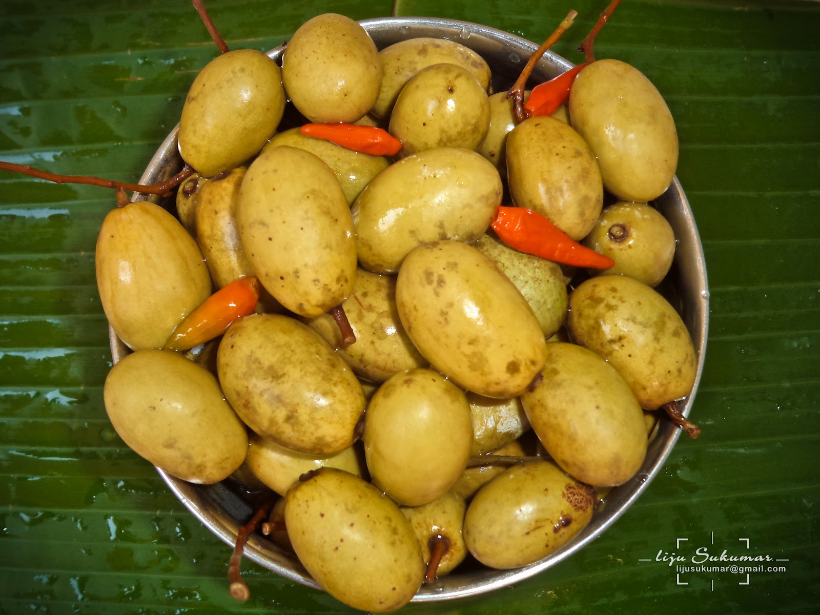 My Photographic Views: Karaka (Corynocarpus laevigatus) pickle :)