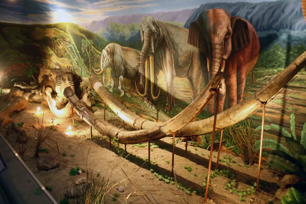 Sangiran Ancient Museum in Sragen Central Java