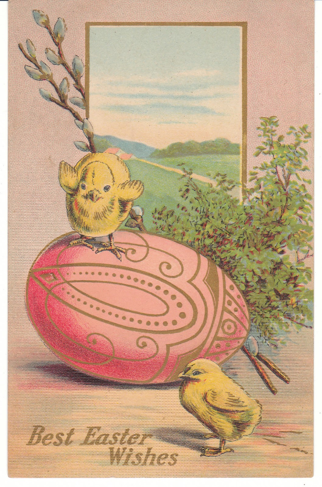 View from the Birdhouse: Weekend Window Shopping at Birdhouse Books ...