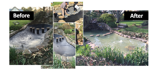 Concrete Pond Coating: Rubber Pond Paint -Get pond solution made with ...