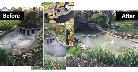 Concrete Pond Coating: Rubber Pond Paint -Get pond solution made with ...