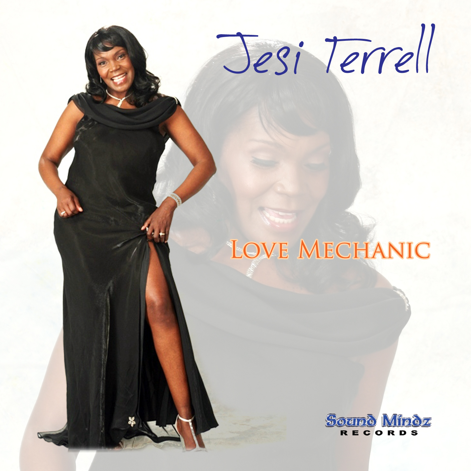 Black Soul Rhythms Radio Blog: NEW MUSIC: Love Mechanic by Jesi Terrell
