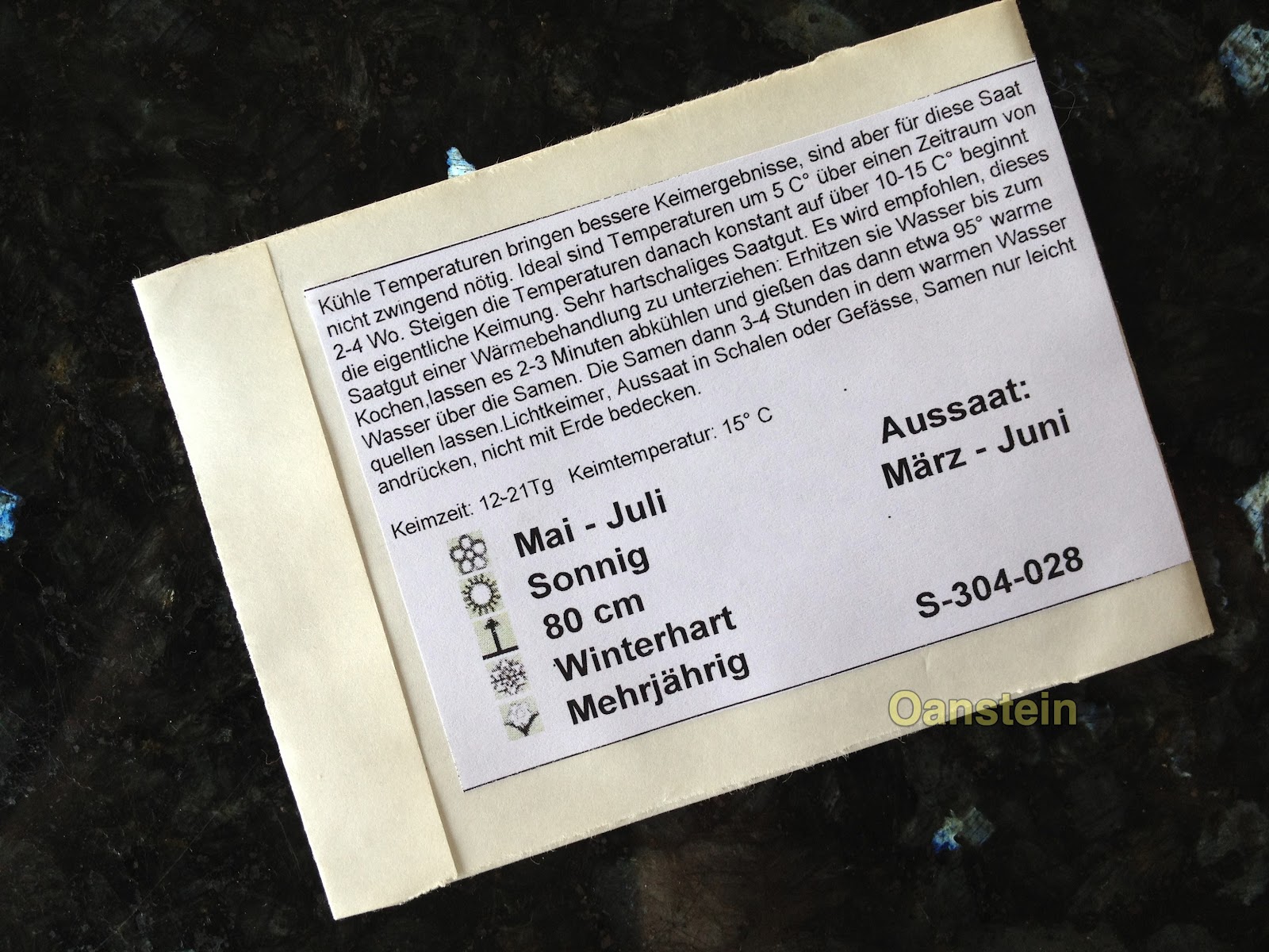 Oanstein: Anbau von Cystus - Zistrosen - Cistus incanus ssp. tauricus