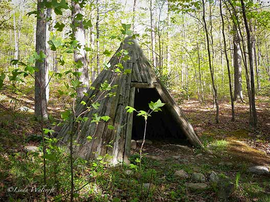 The View from Squirrel Ridge: Return to the Charcoal Trail