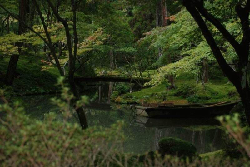 giga world: Garden moss Saiho-ji. Japan