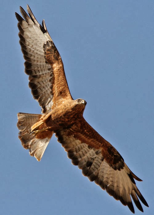 Once Upon....: September 2013