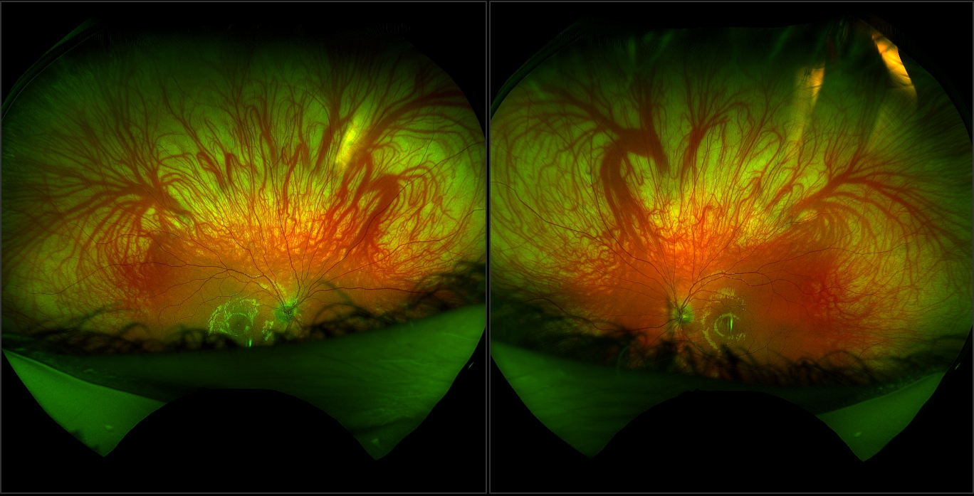 Sonoran Desert Eye Center