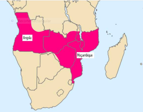 ROSA DOS VENTOS: - MAPA " COR DE ROSA"