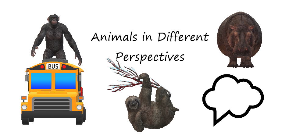 Animals in Different Perspectives