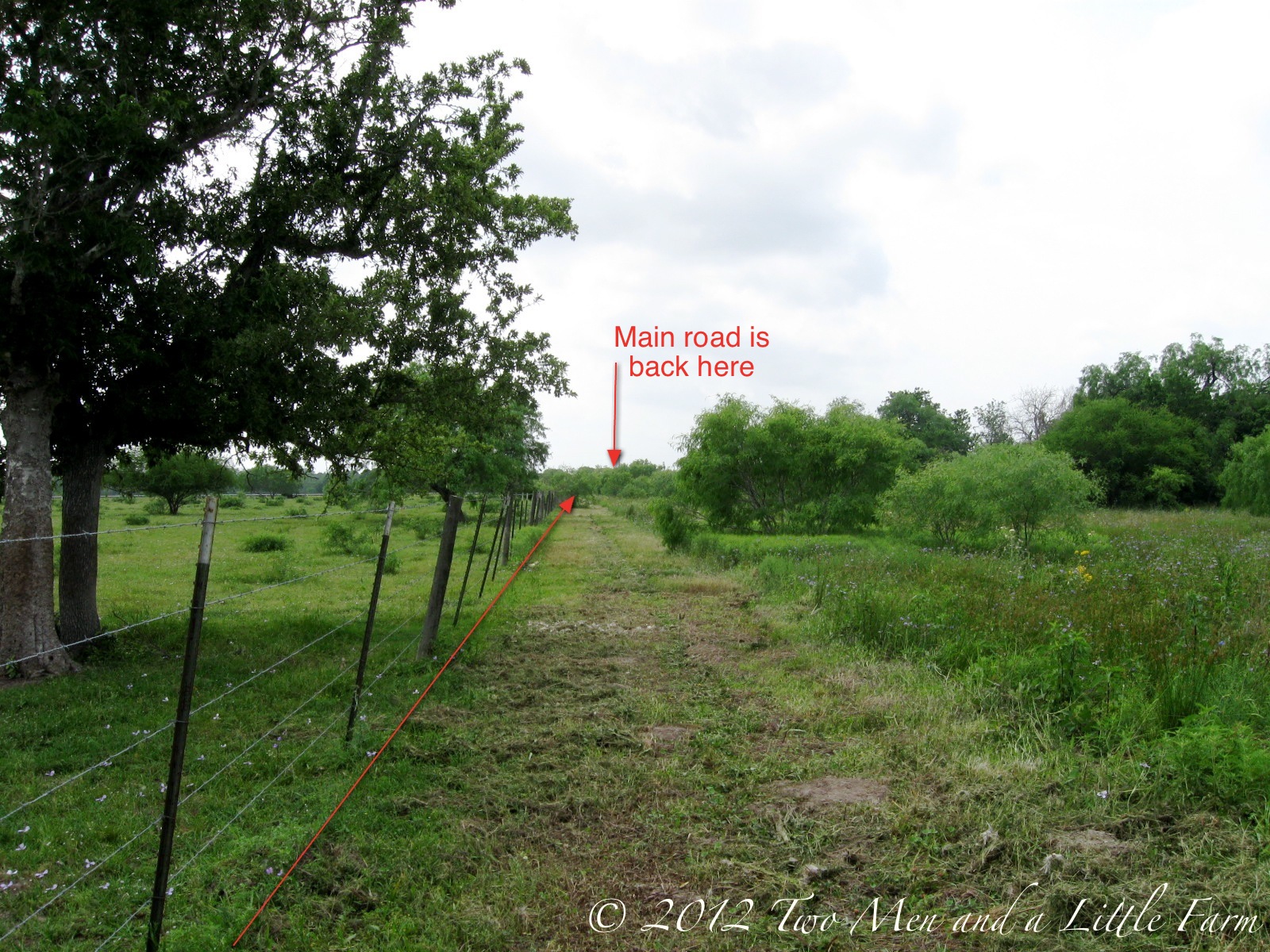 Two Men and a Little Farm: CLEARING THE FENCE LINE