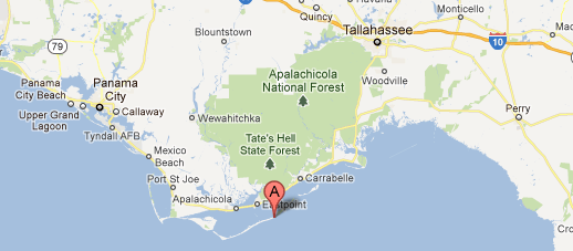 Adventures With B and B: St. George Island State Park