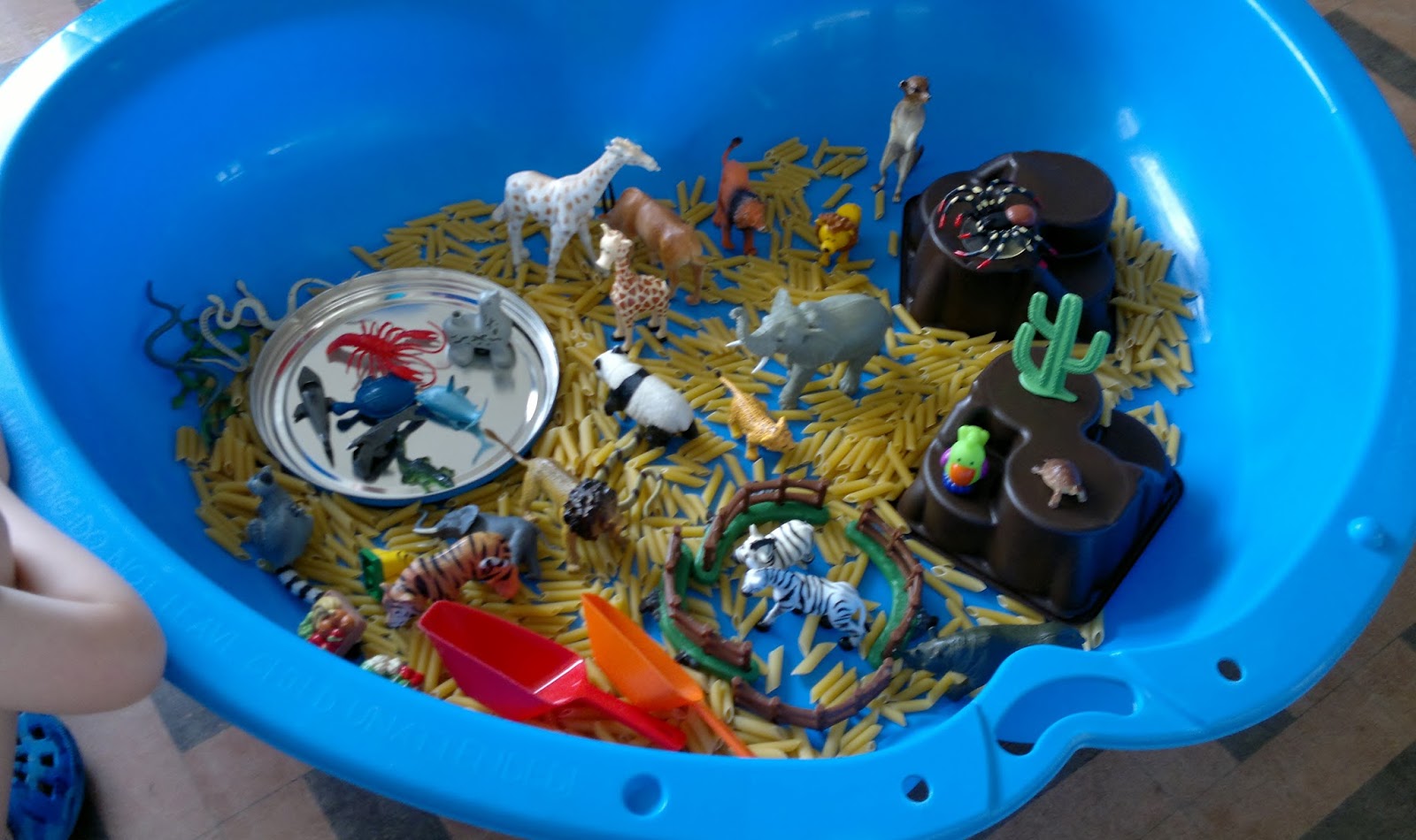 Small world zoo with dry pasta, & sweet tin lid as sea.