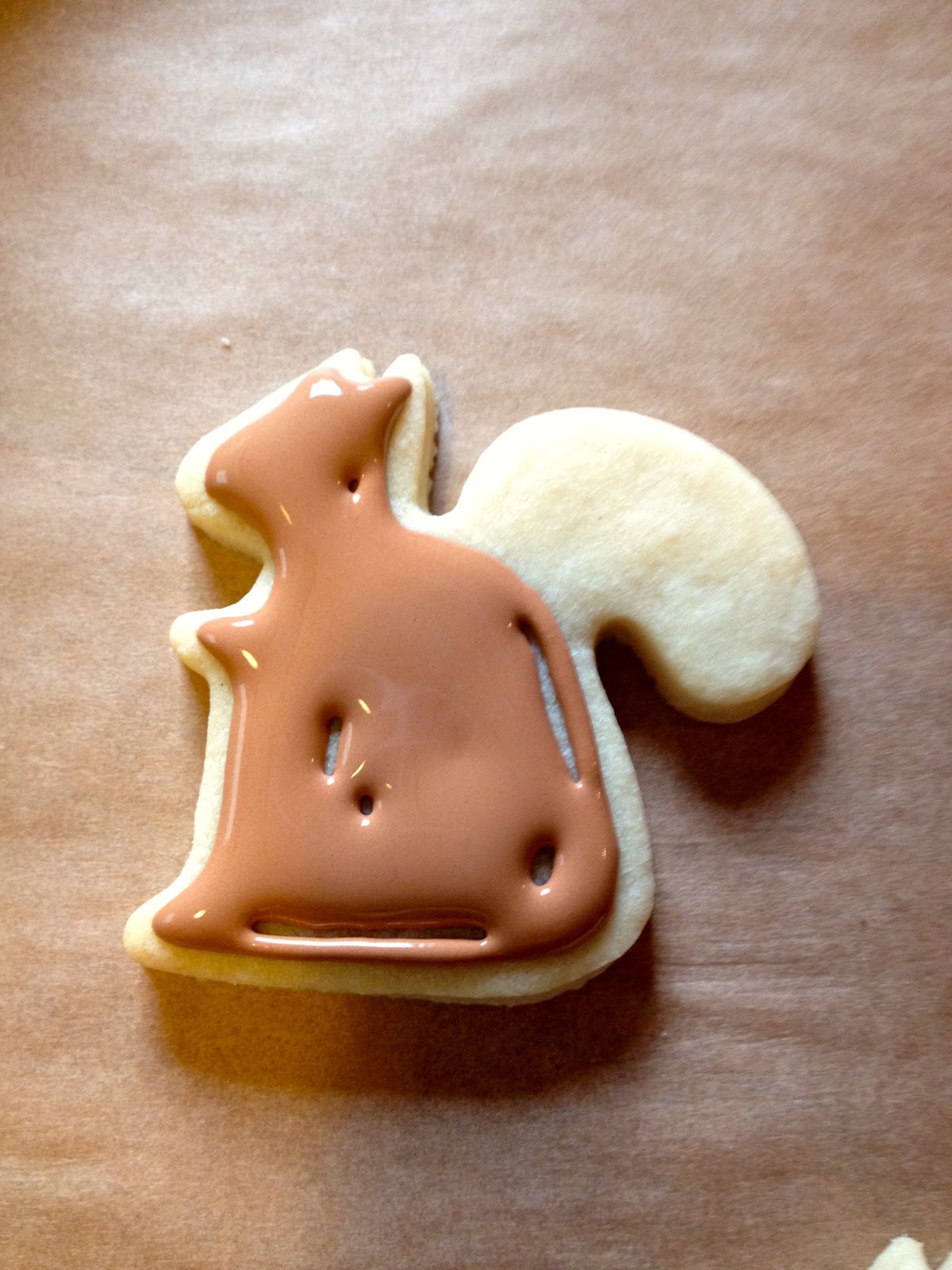 Heidi's Mix: Wild Squirrel Cookies