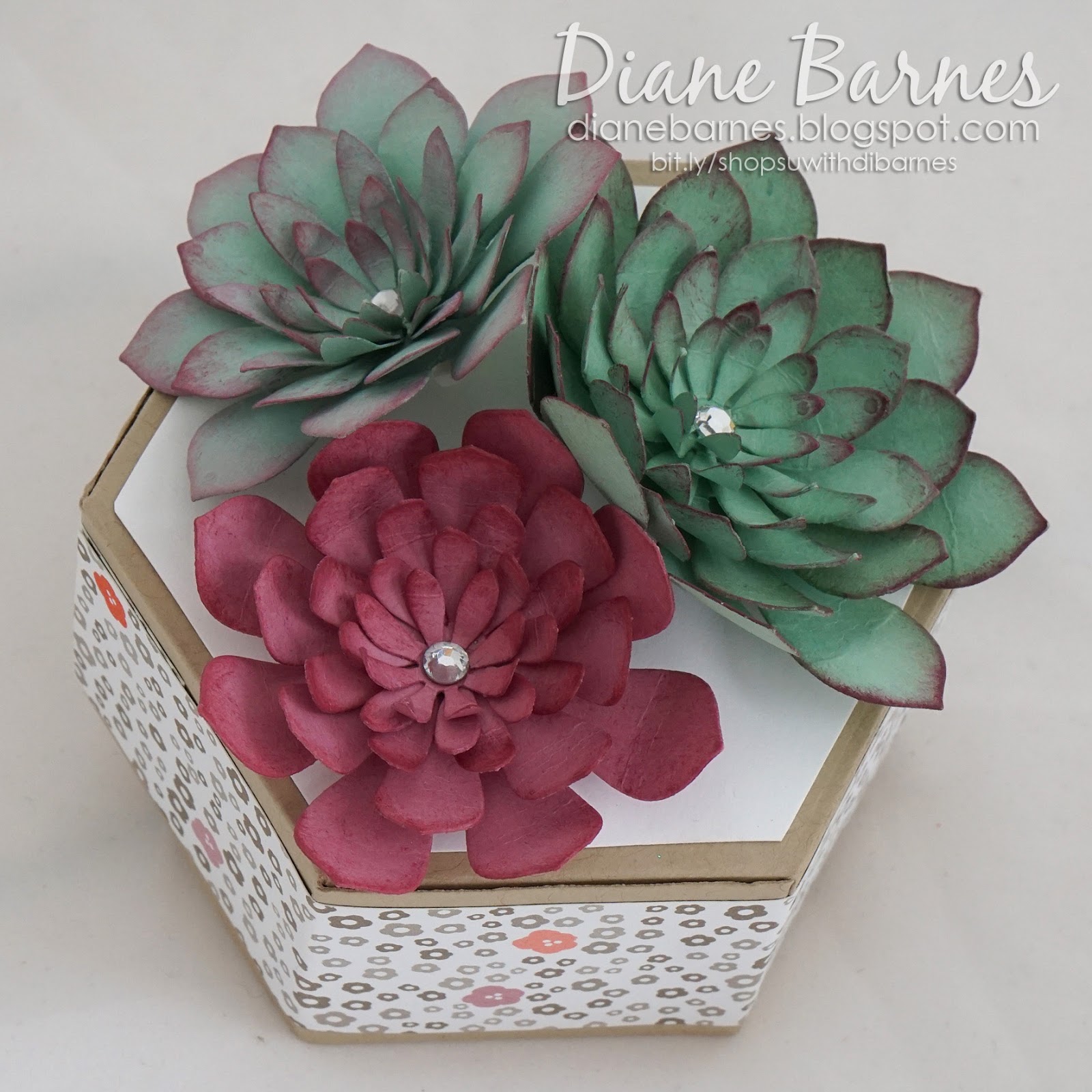 colour me happy: Oh So Succulent window box card & hexagon box