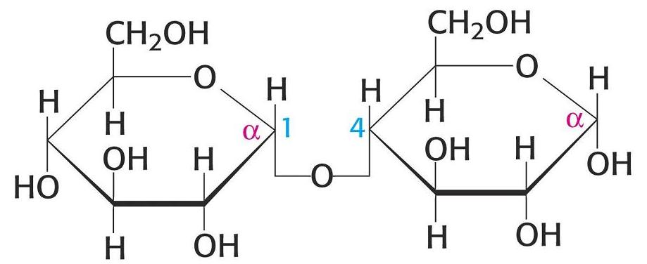 Mi biología: BIOELEMENTOS