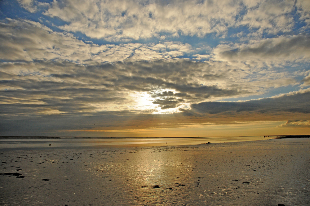 Brian Rafferty...Wildlife Photographer: Ribble Estuary...Lytham