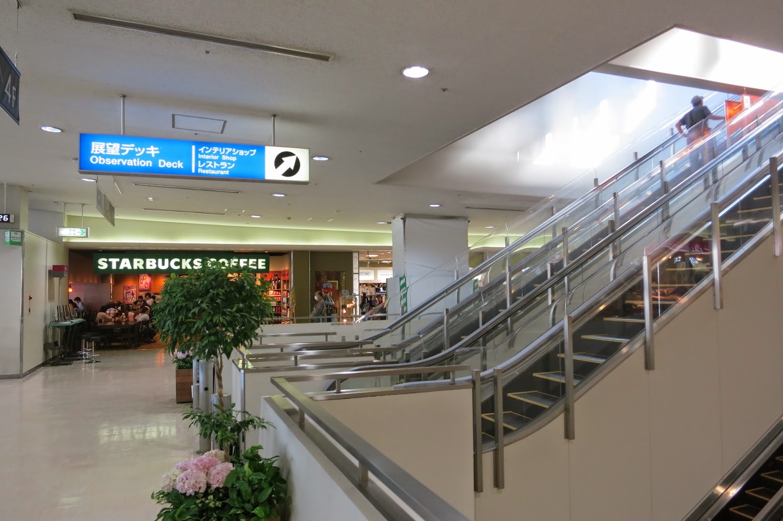 Charles Ryan's Flying Adventure: Discovering Eastar Jet + Osaka ITM Airport