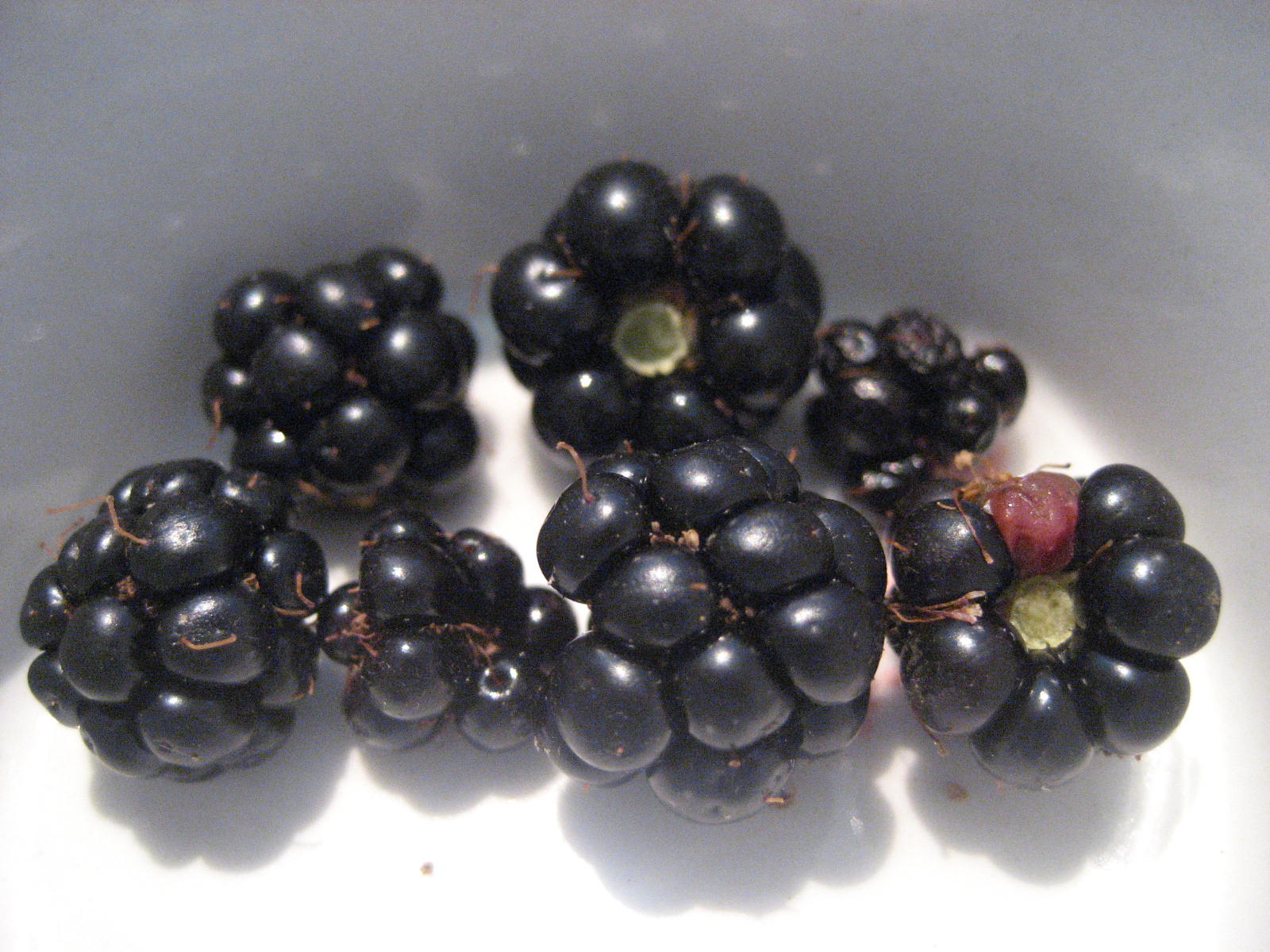 Salal Berry - Fruits And Vegetables