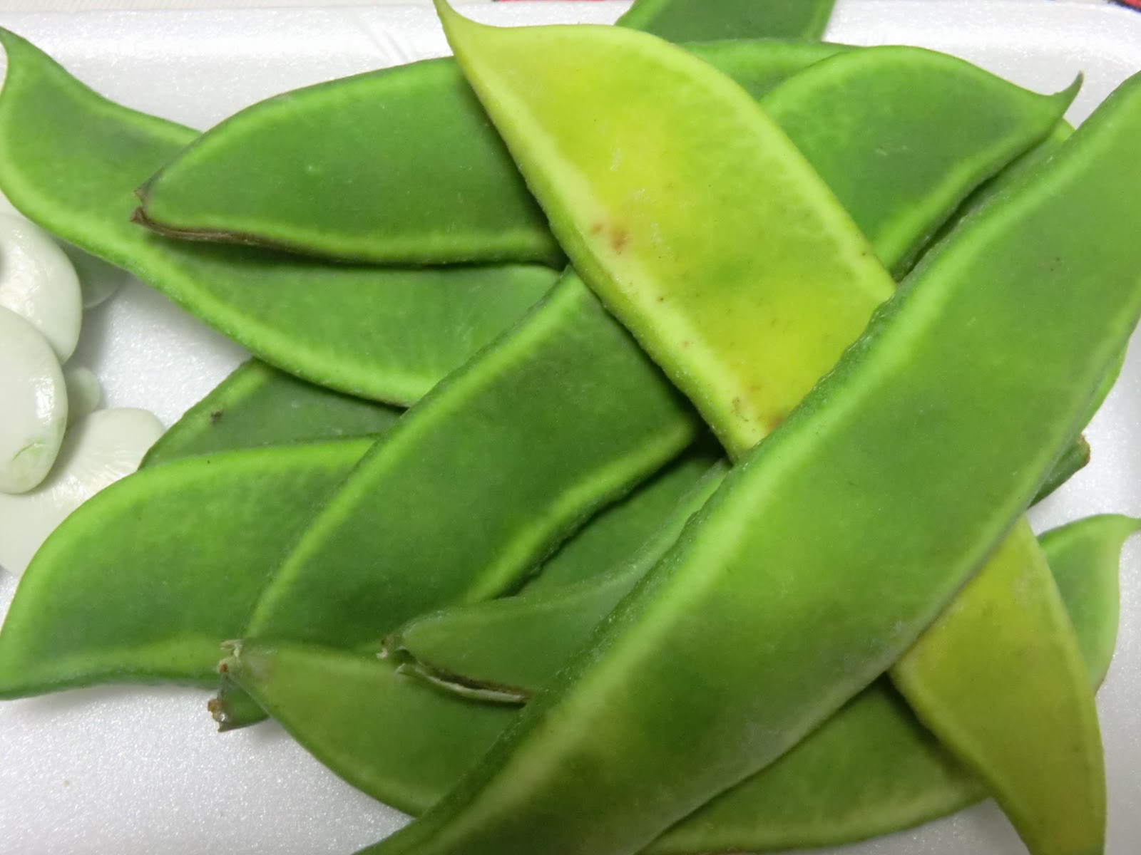 Blog de cocina y recetas culinarias : Judía garrofón para paella