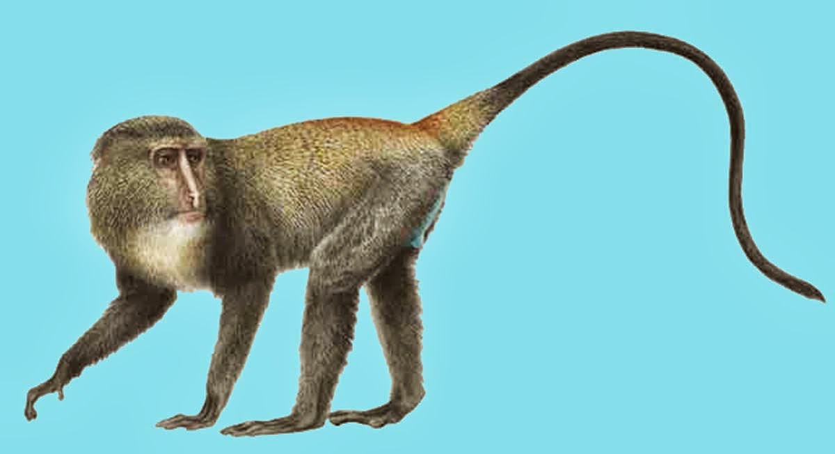 The Agatelady: Adventures and Events: 2013 List of Top Ten New Species