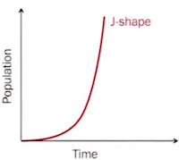 Andy Lieman : What is J-Shape and S-Shape?