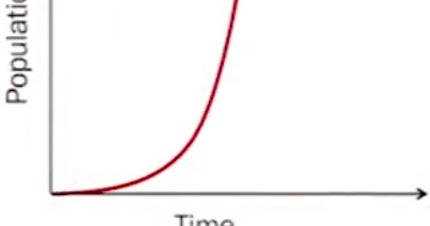 Andy Lieman : What is J-Shape and S-Shape?