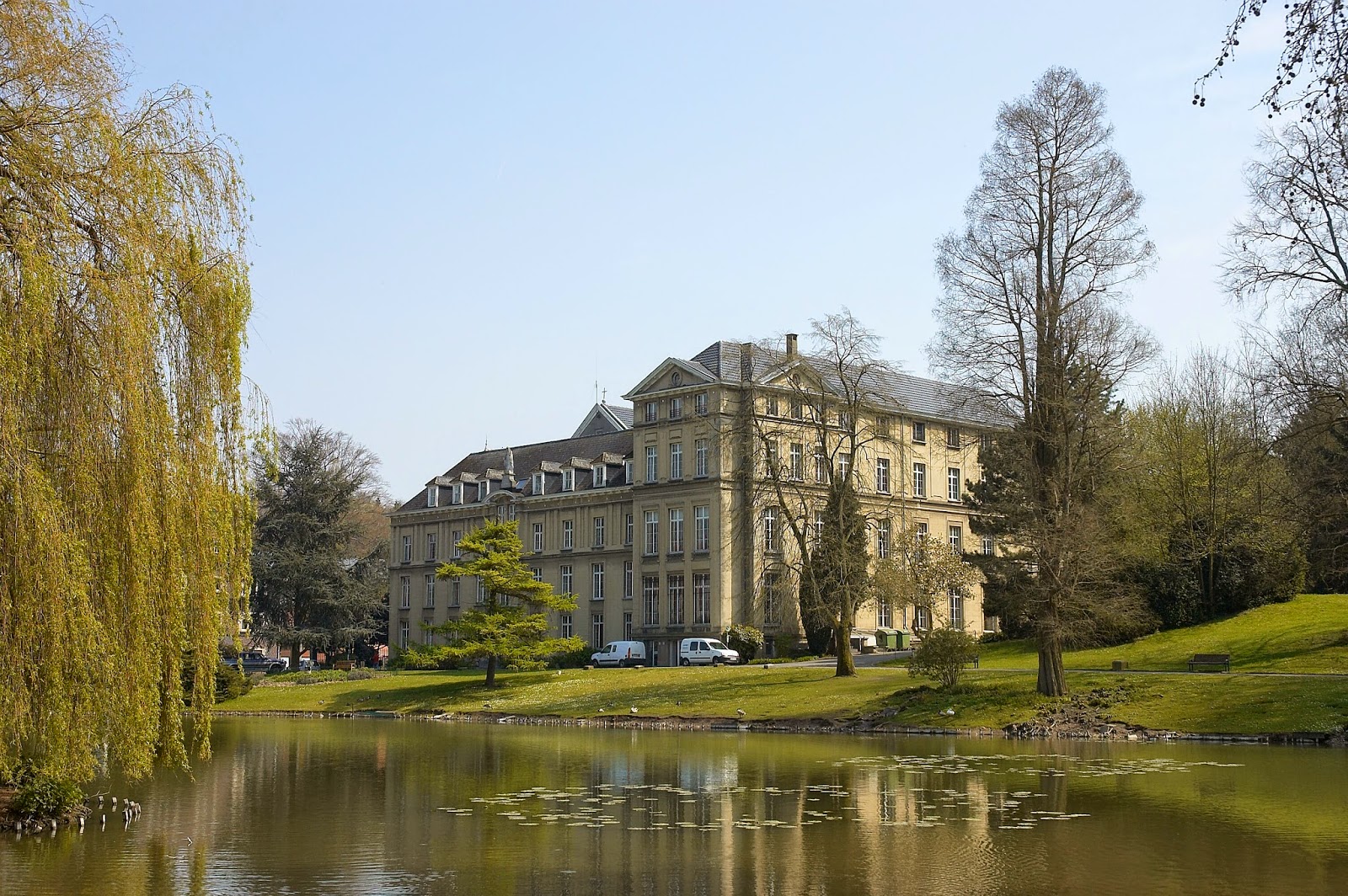 Ruocco tribù: Ruocco a Overijse Belgio