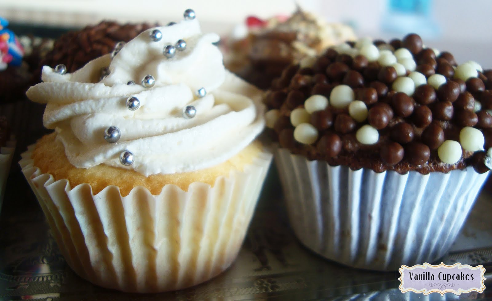 Cozinha nut: Preços e Caixas Vanilla Cupcakes