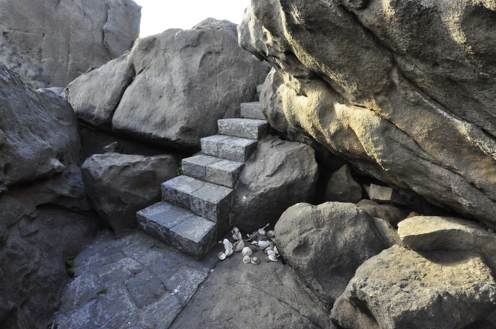 Teresa Moller y Asociados: PUNTA PITE