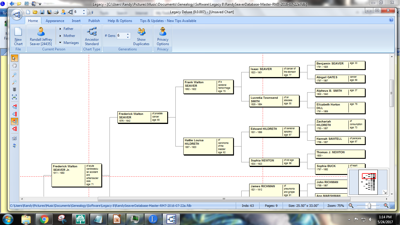 Genea-Musings: Legacy Family Tree 9 Cause of Death Charts