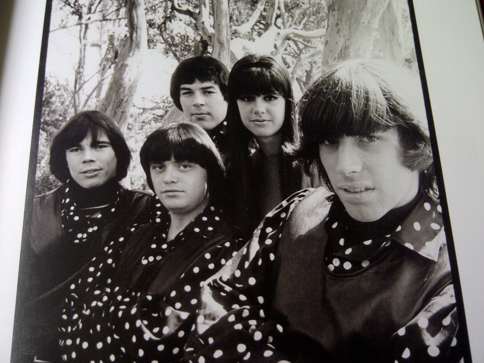 Transparent Radiation: The Vejtables - Anything b/w I Still Love You ...