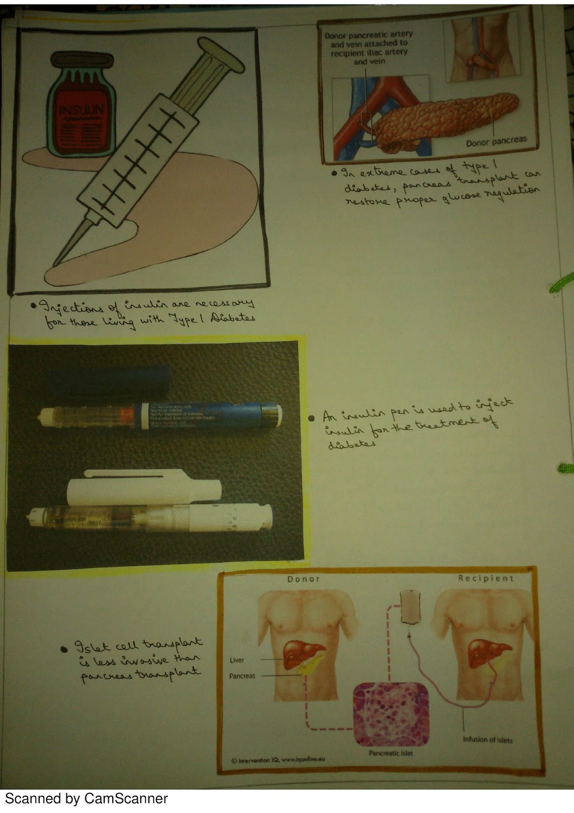 Class 12 SCIENCE Practical Readings and Projects: ISC Biology Project ...