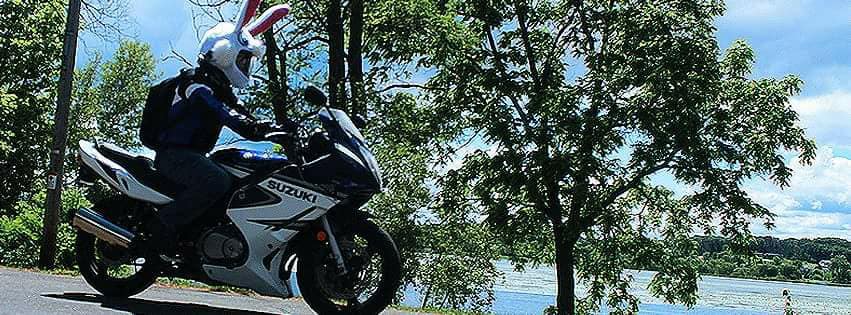 Motorcycle Helmets: Rabbit Motorcycle Helmet Cover