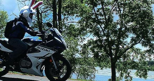 Motorcycle Helmets: Rabbit Motorcycle Helmet Cover