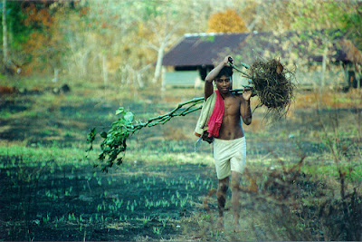 IRIS MICRONESIA: Unusual Miracles: Sakau into Water