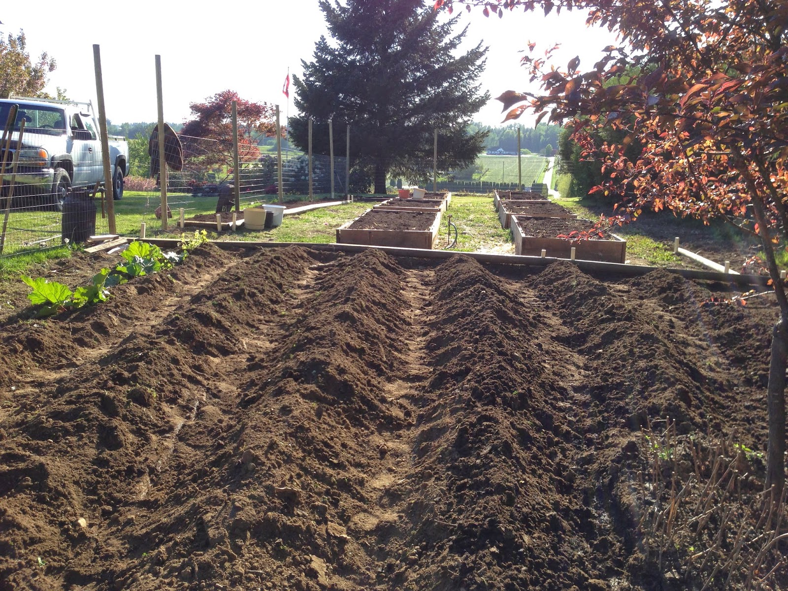 Backyard Homesteading: Our Backyard Homestead