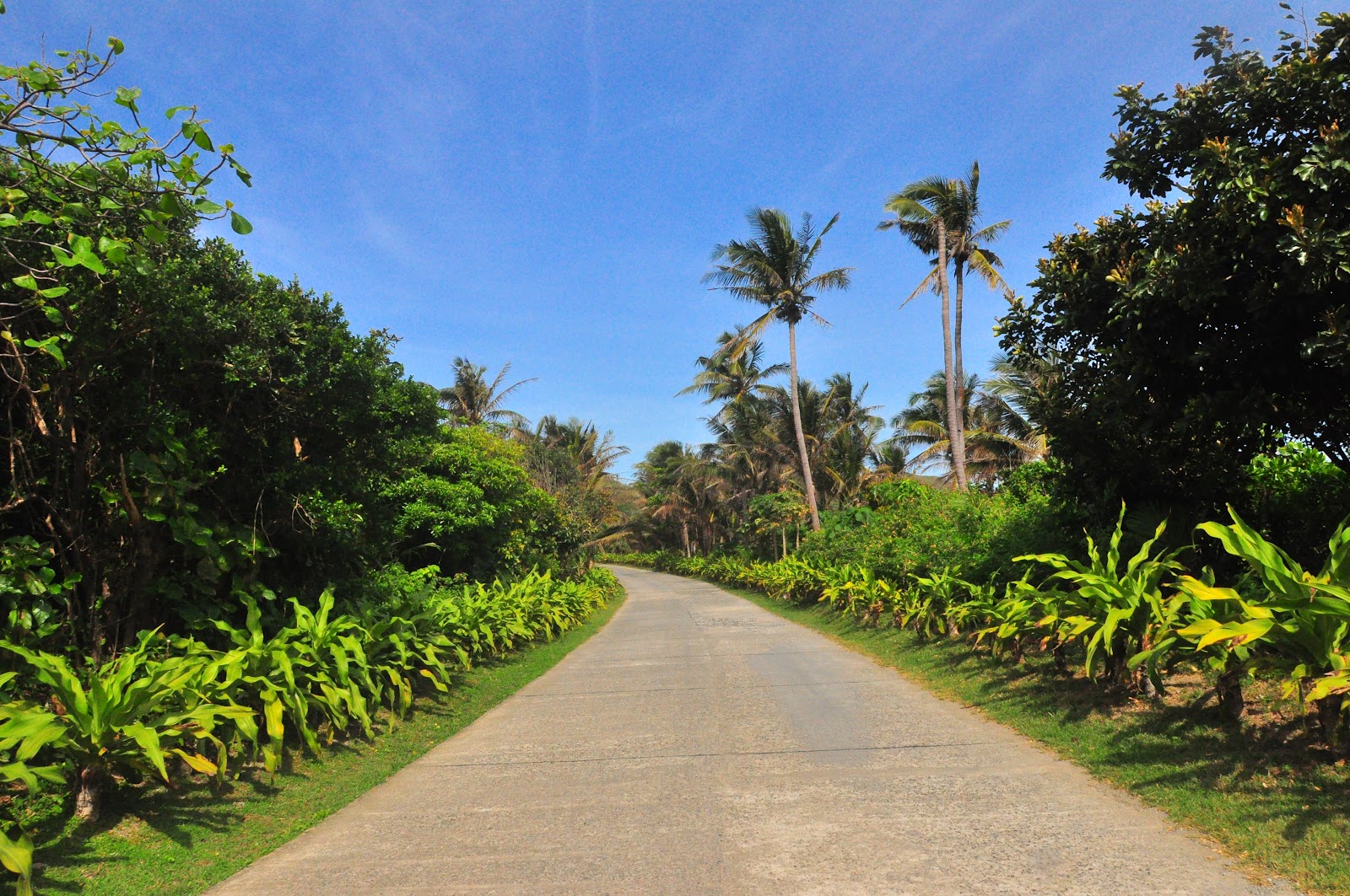 Pagudpud Tricycle Tour: Pagudpud Tricycle Tour Pagudpud Tricycle Tour
