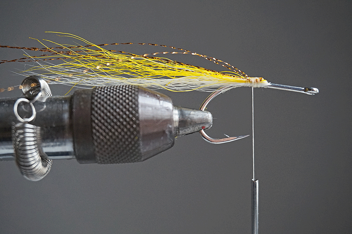 Fly Paper: TCL Special Fly Pattern