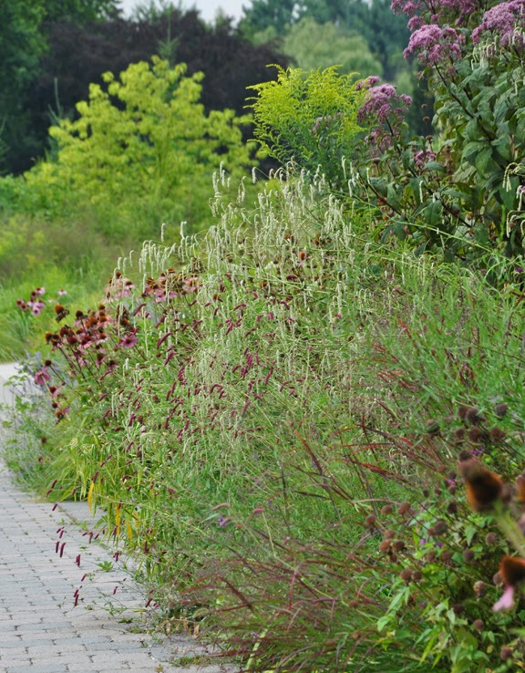 Three Dogs in a Garden: Beginning to Build my Spring Wish List