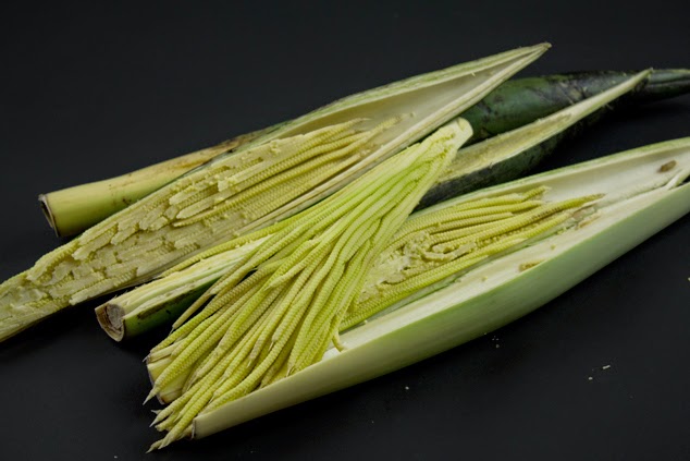 EL SALVADOR MI PAIS: En El Salvador comemos flores.