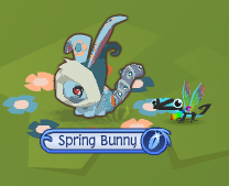 Animal Jam Oasis : Spring Bunny pics