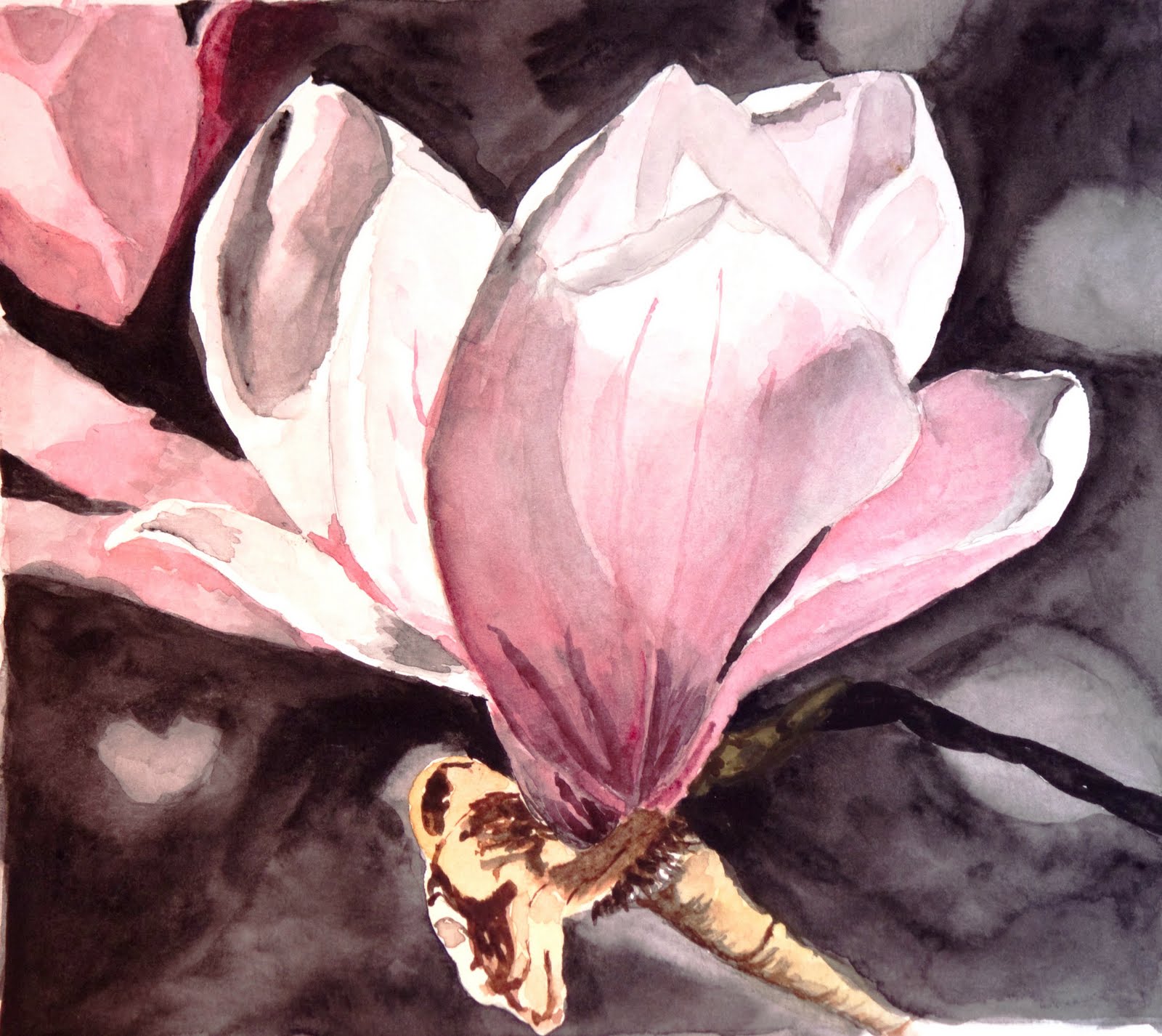 Back to Art: Magnolia